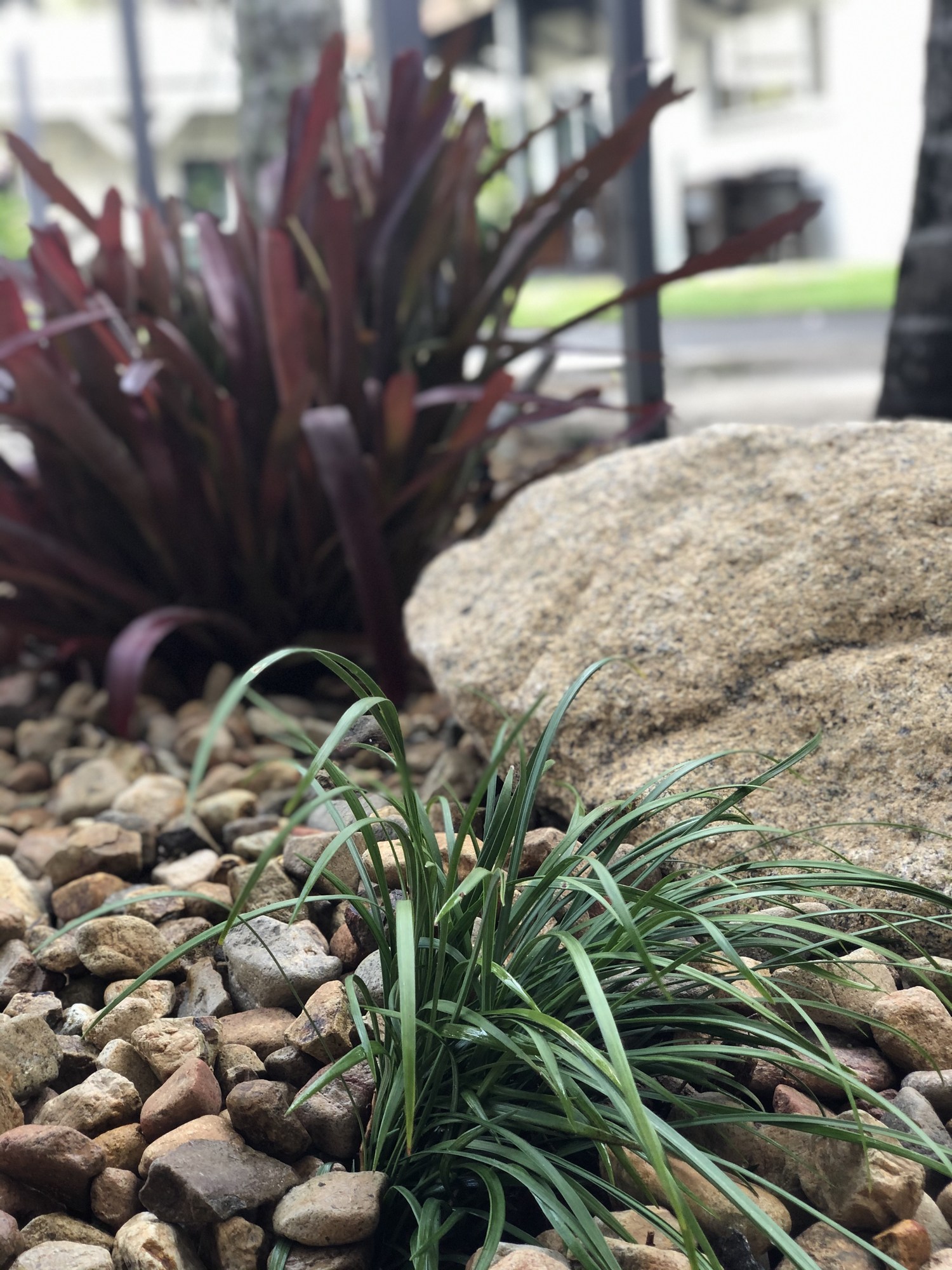 Scott's Mowing Cairns